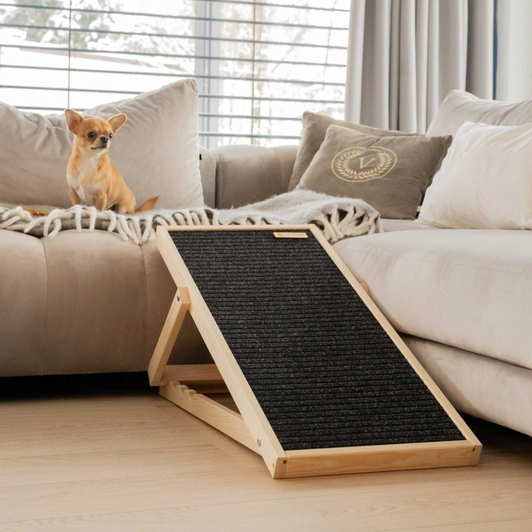 Hunderampe aus hochwertigen Holz – Hunderampe24